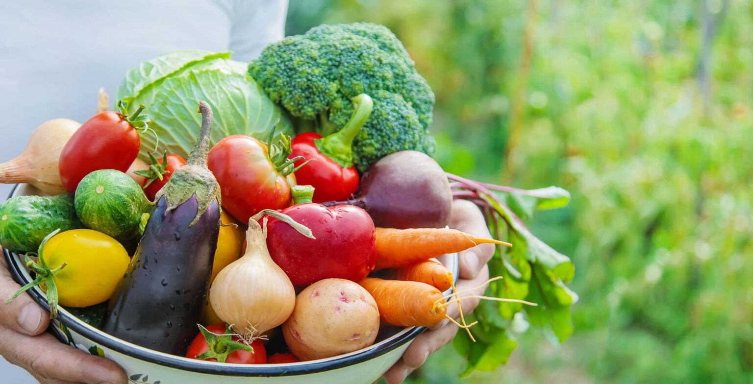 Short distribution channels & Anti-food waste solutions - Bene Bono