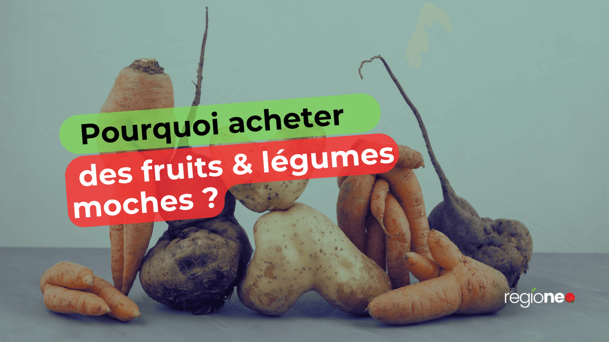 Why buy ugly fruit and vegetables? - Regioneo